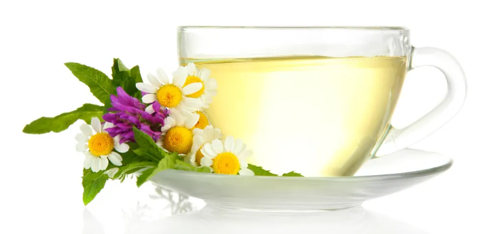 Zestyhut - ZestyHut | Chamomile Mint Tea Benefits, Side Effects | How ...