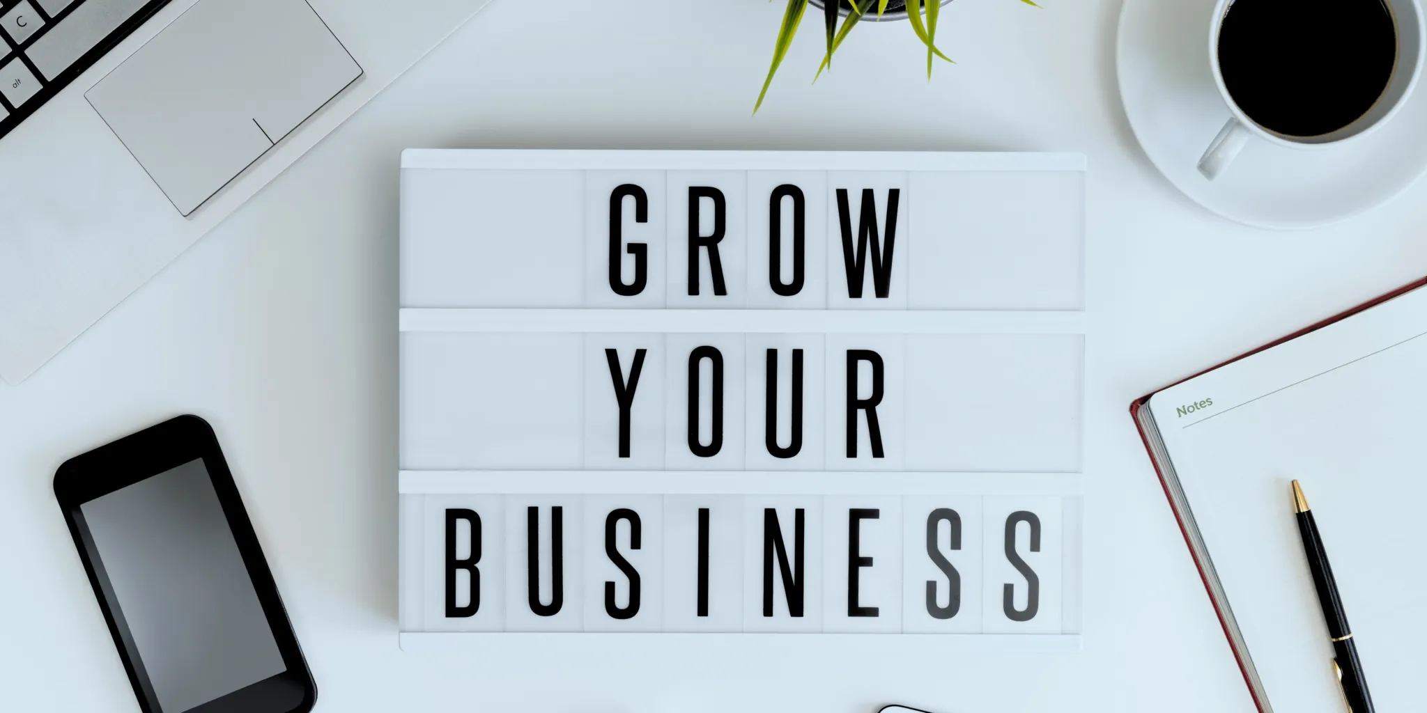 Zestyhut - 5 Effective Spice Business Strategies for Long-Term Success ...